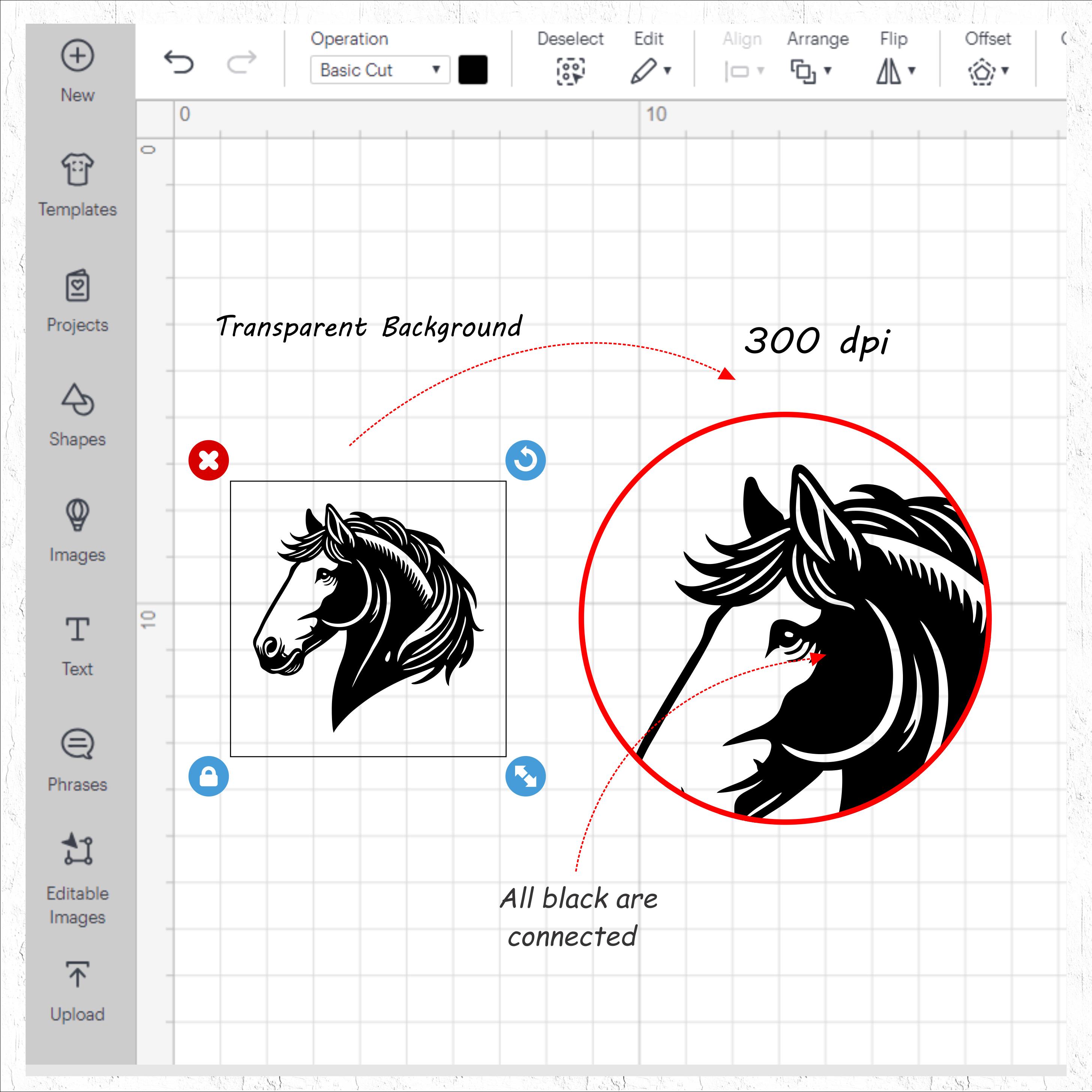 15 Rassen Anfertigen Pferde-Svg Dxf Pdf - Pferd Multilayer, Pferd Laser ...