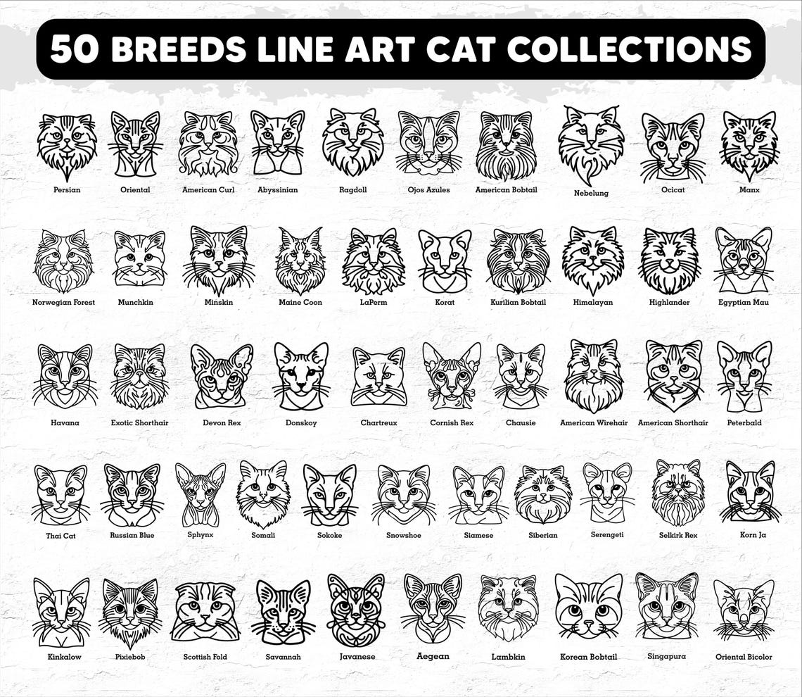 Line Art Cats 50 Breeds Cat Bundle Machine Embroidery 5 Sizes - Cat ...