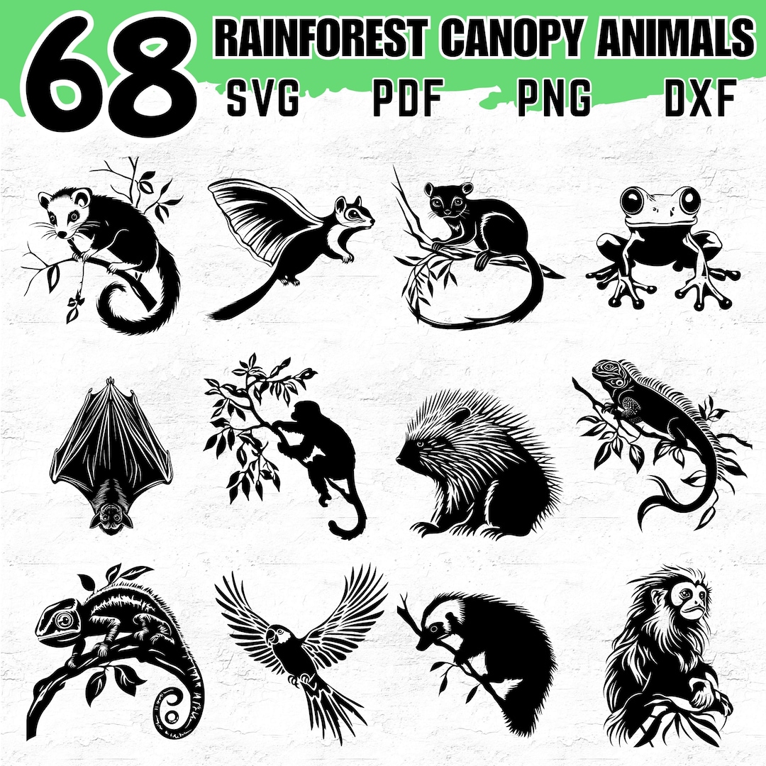 68 Rainforest Canopy Animal Svg DXF PDF PNG Bundle for Cricut Crafts ...