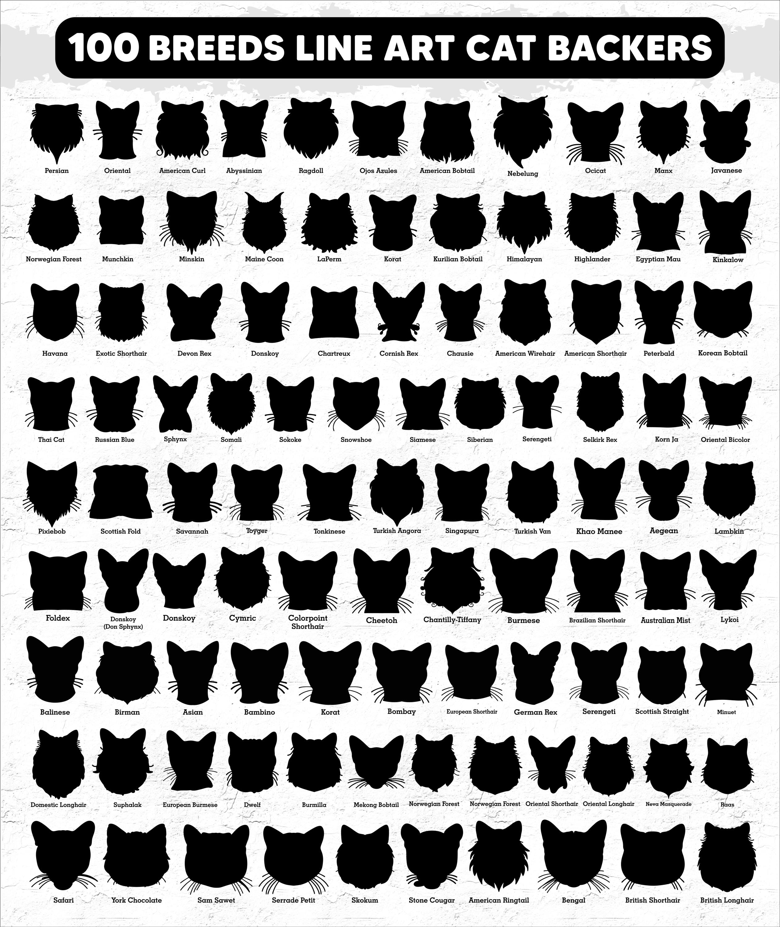 Line Art 100 Breeds Cat Bundle Svg Pdf Dxf Png - Cat Ornaments, Cat ...