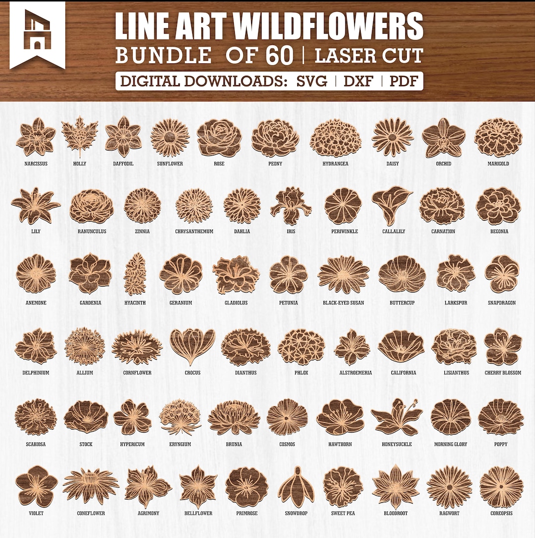 60 Line Art Wildflowers Bundle Svg Pdf Dxf - Wildflower Ornaments ...
