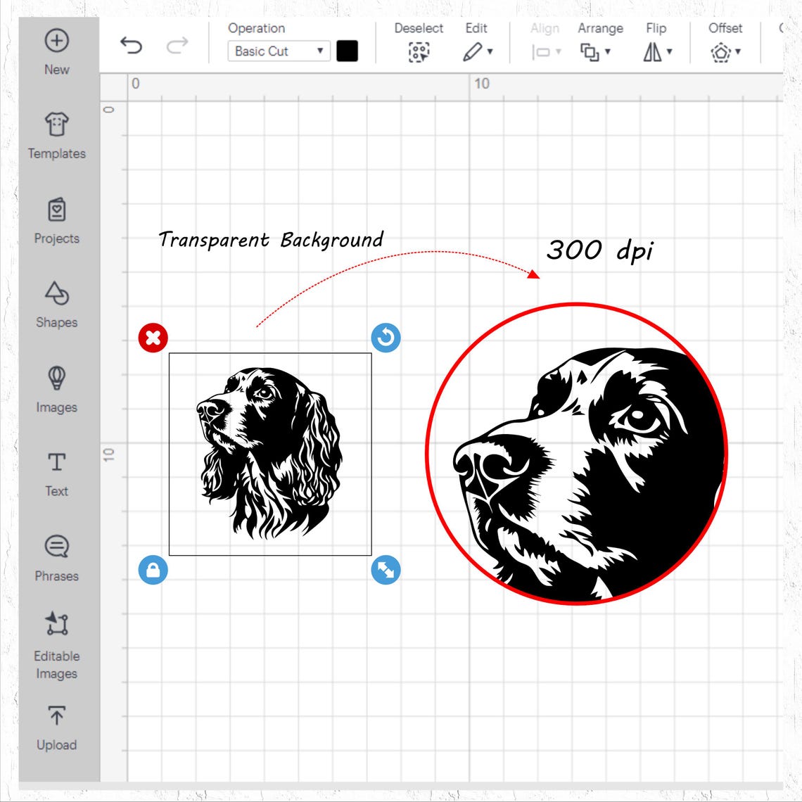 324 Breeds Dog Head Side View SVG Bundle Stencil Art, Pet Portrait Cut ...