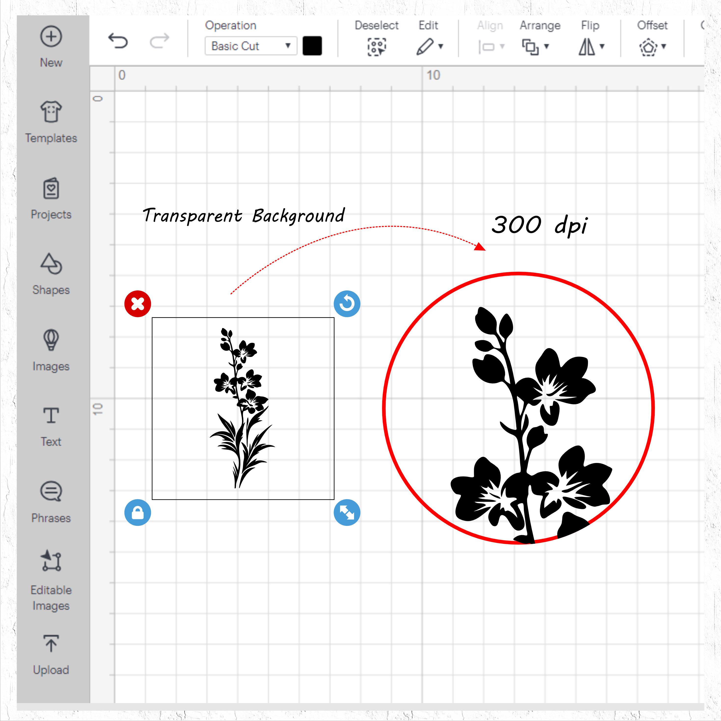 64 Larkspur Wildflower SVG Bundle, Floral Silhouette Cut Files for ...