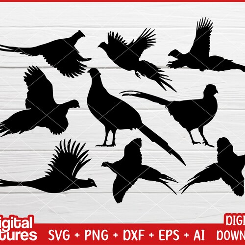Pheasant Hunting SVG Labrador Pheasant Clipart Bird Hunting - Etsy