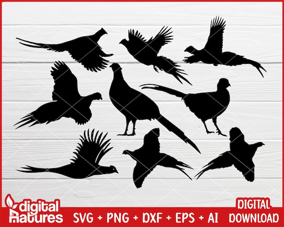 Bird Hunting Clip Art