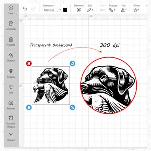 Bundle Labrador Svg, Labrador Hunting Svg, Dog Hunting Clipart, Hunter ...