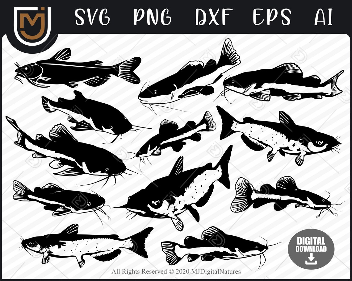 Bundle Catfish Clipart Catfish SVG Fish SVG Fishing Svg - Etsy