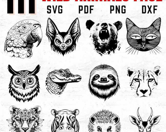 Safari Animal Faces SVG: Jungle Clipart, Lion, Zebra, Monkey (digital ...