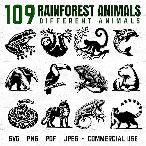 Rainforest Falls Clip Art - Etsy