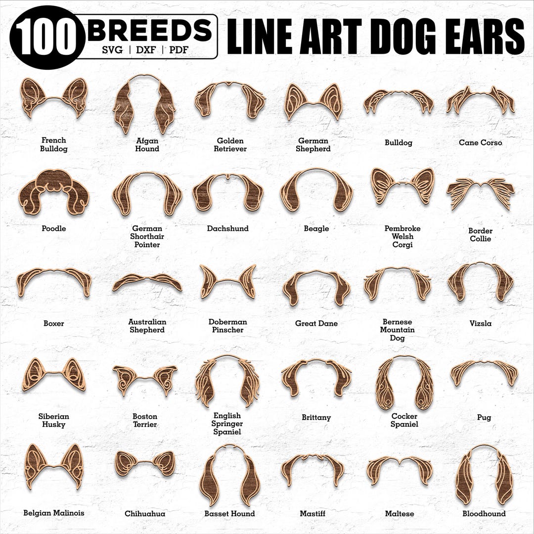 100 Breeds Line Art Dog Ears Bundle Svg Pdf Dxf Png Lasercut- Dog ...
