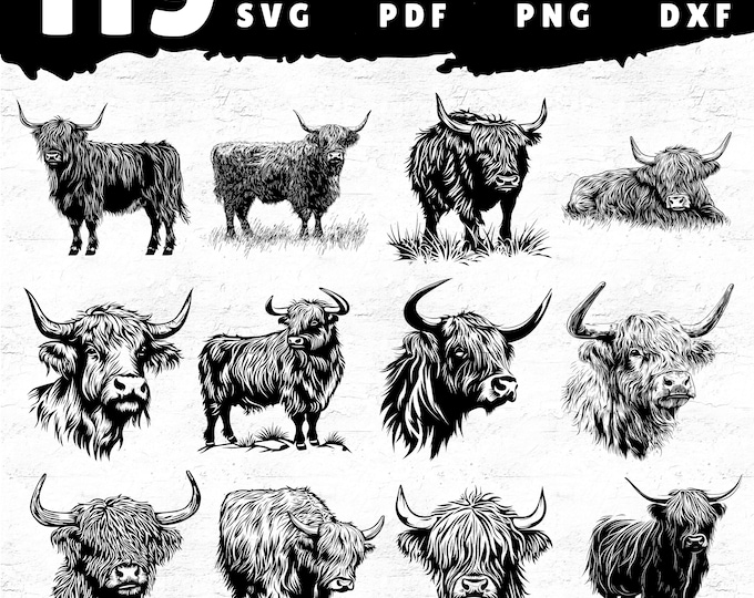 Scottish Highland Cow SVG, Ai, Dxf, Eps, Jpg, Png Bull Heifer Farm ...