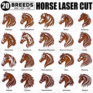 Laser Cut 20 Breeds Horse Svg Pdf Dxf - Horse Multilayer, Floral Horse ...