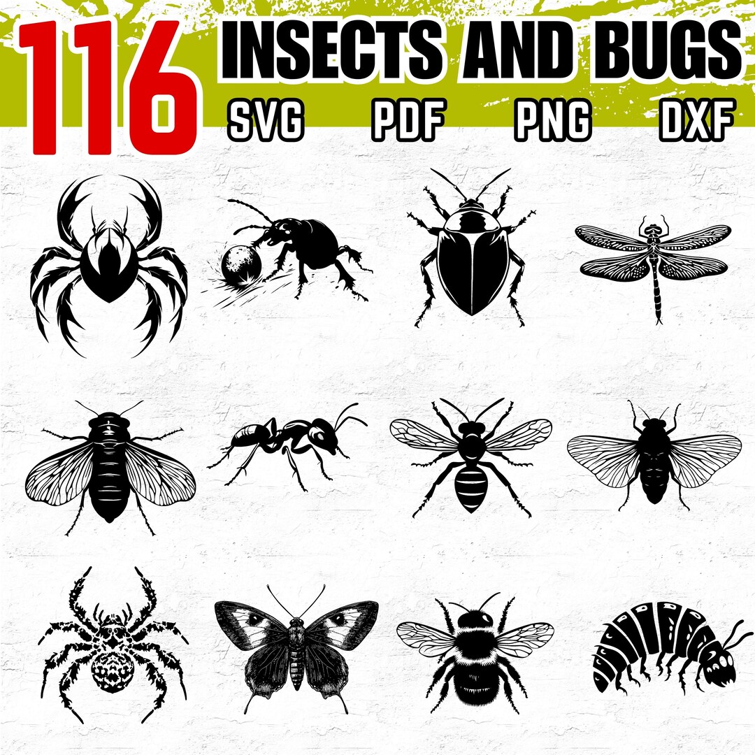 116 Insect and Bug SVG DXF PDF Bundle for Cricut Crafts, Creepy Crawly ...
