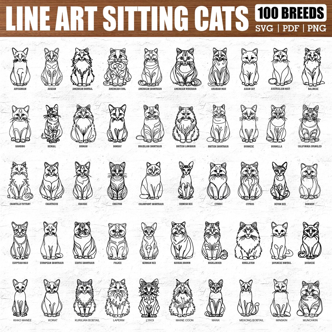 100 Cat Breeds Line Art Sitting Svg Dxf Png Pdf Bundle for Cricut ...