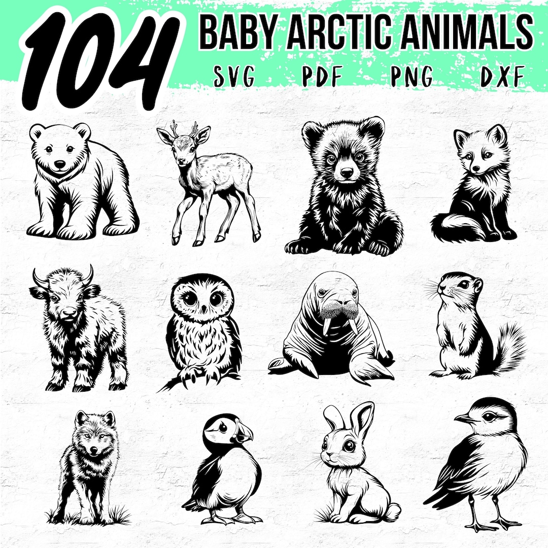 104 Baby Arctic Animal SVG DXF PDF Bundle for Cricut Crafts, Cute Polar ...