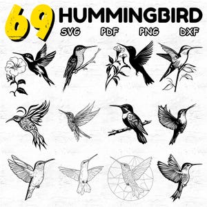 69 Hummingbird SVG DXF Bundle for Cricut Crafts, Laser Cut Bird ...