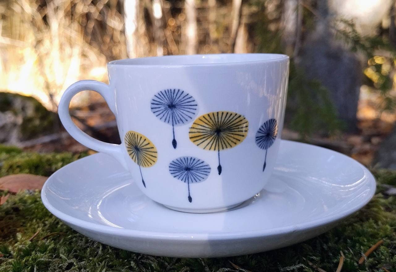 Arabia Rare Hattara Coffee Cup and Saucer Esteri Tomula Arabia Finland ...