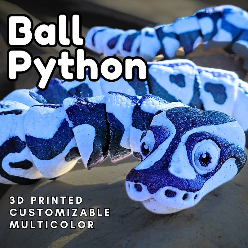 Ball Python - Etsy