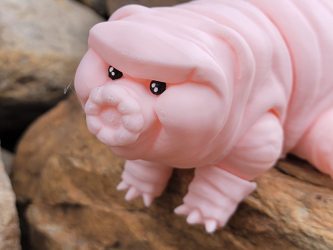 Articulated Tardigrade Fidget Toy, Water Bear, Moss Piglet, Desk Fidget ...