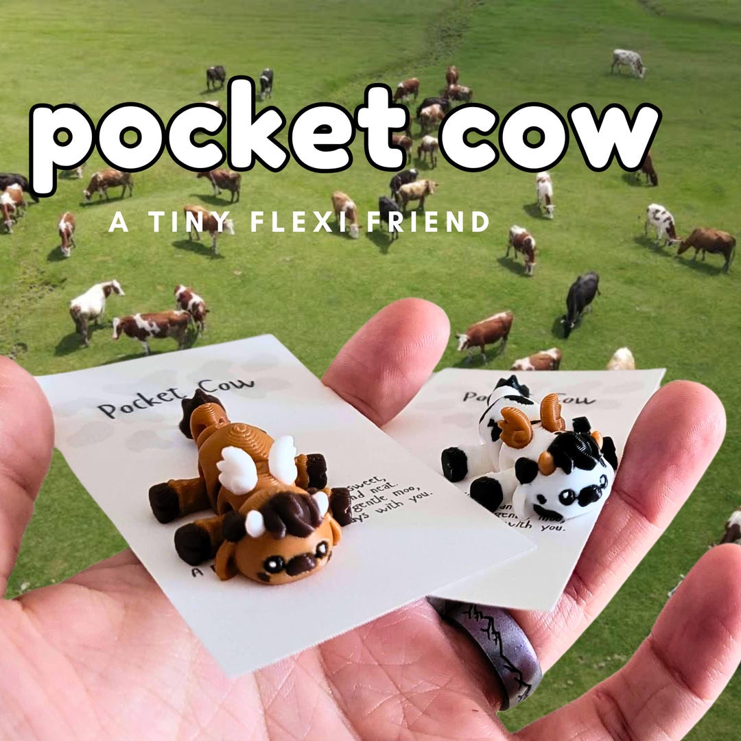 Pocket Cow, Tiny Flexi Friend, Cute Gift for Friends, Highland Cow ...