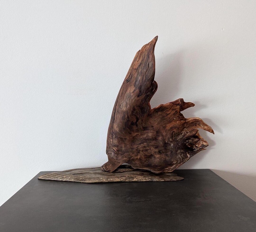 Flame Afloat, Figure by Aclast Shop. Drift,wood,rustic,unique ...