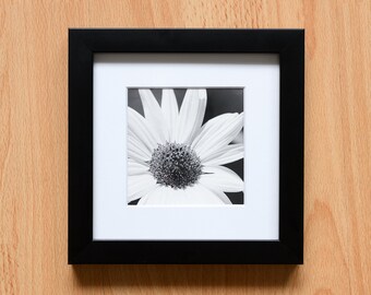 6x6 Photo Print | Etsy