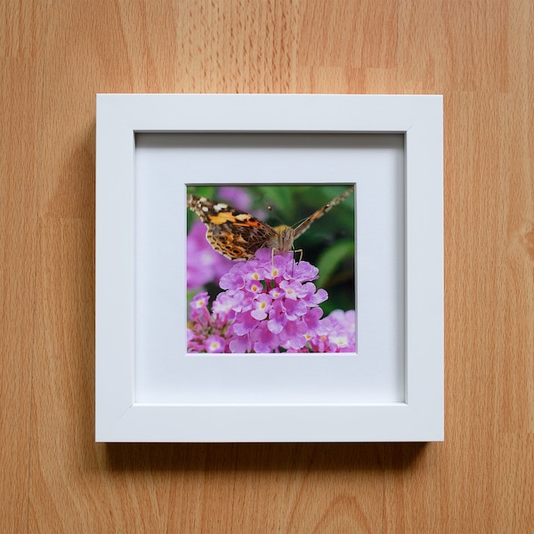 8x8 Frame With 6x6 Mat - Etsy