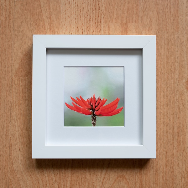 6x6 Frame - Etsy