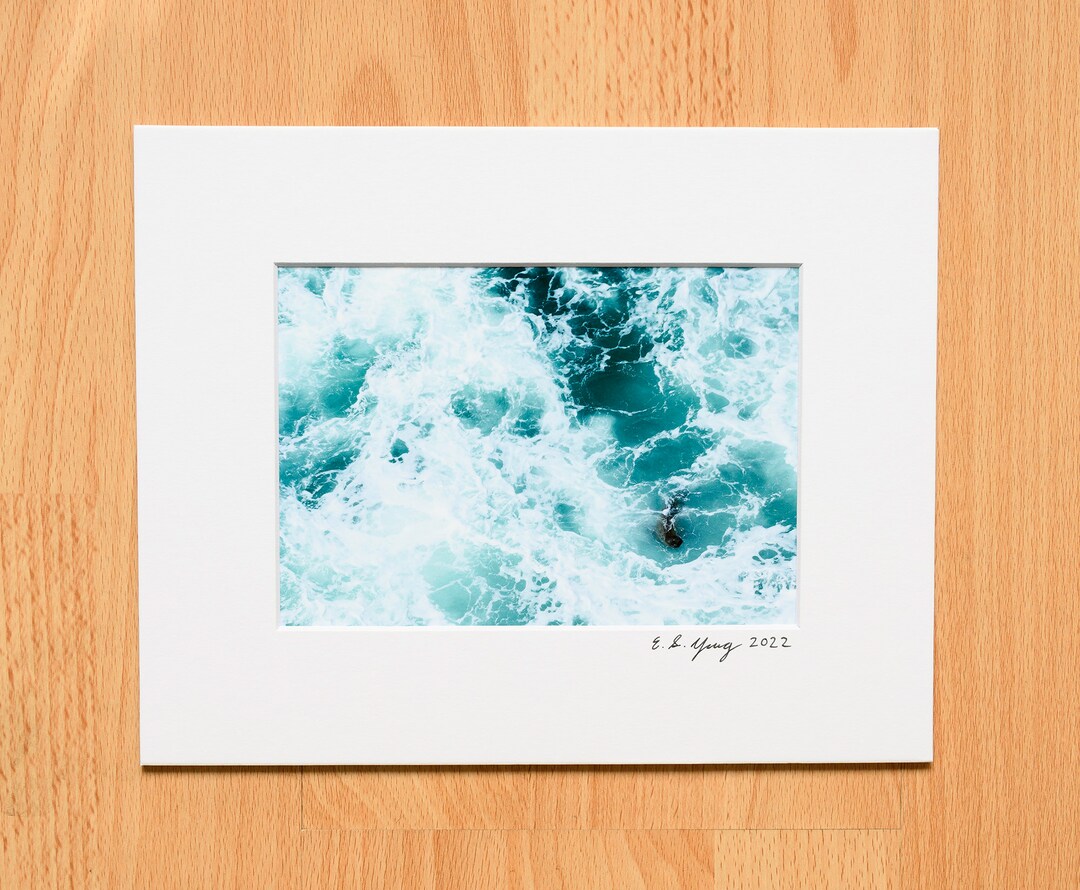Pacific Northwest Ocean Seals Sea Lions, Wild Life Nature Landscape ...