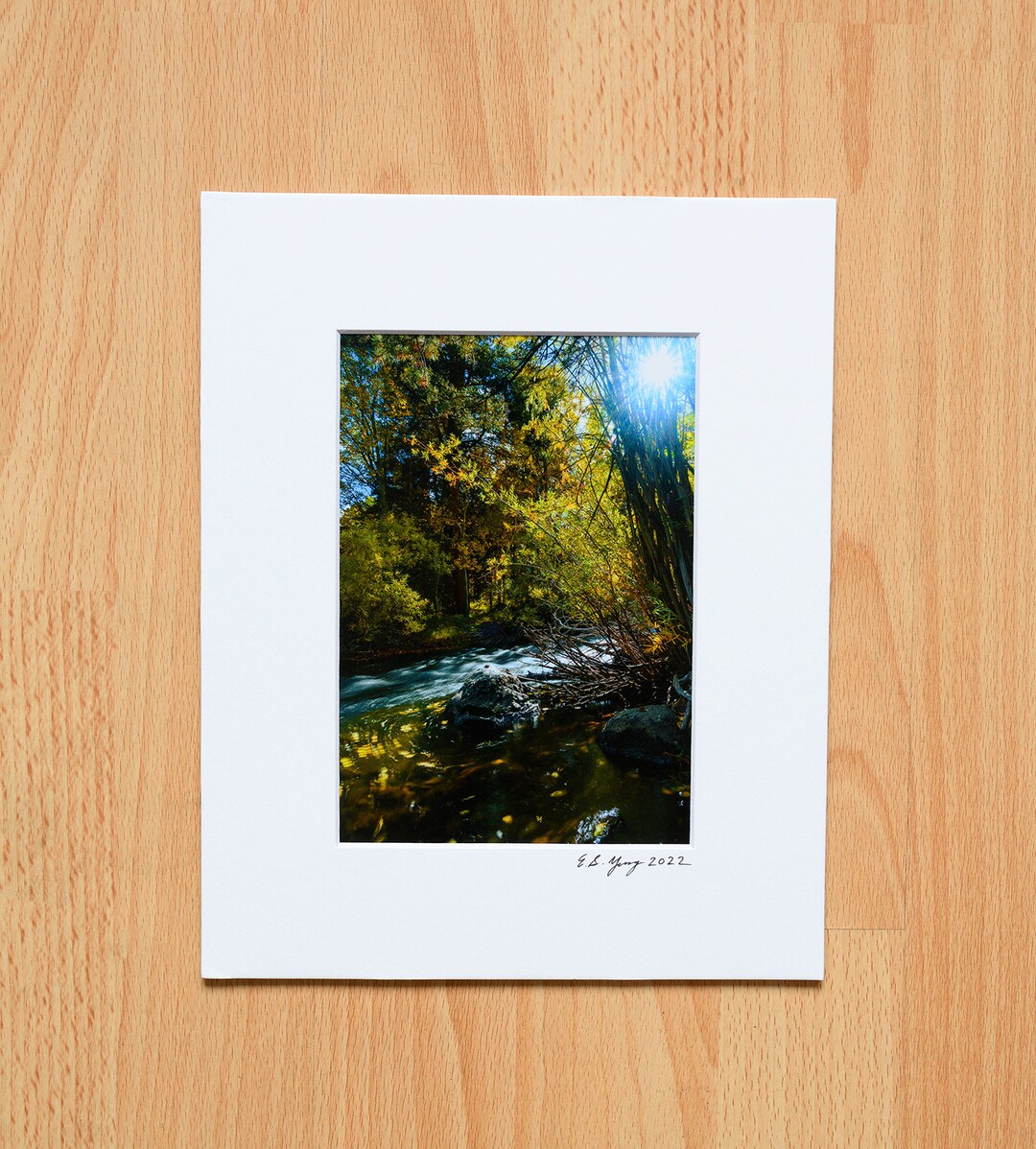 Autumn Sun, Fall Trees With River, Forest, Landscape Photography, Fine ...