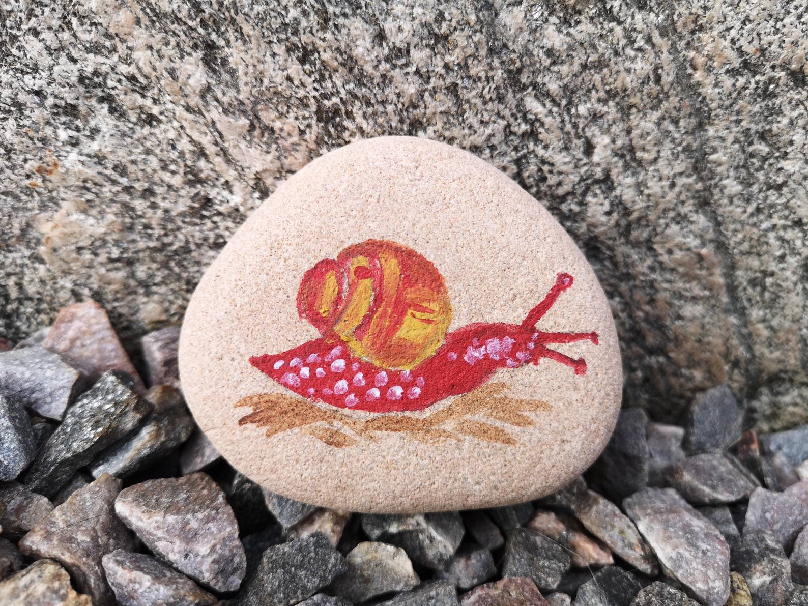 Painted Stones, Painted Rocks, Painted Insects, Painted Insect Stones ...