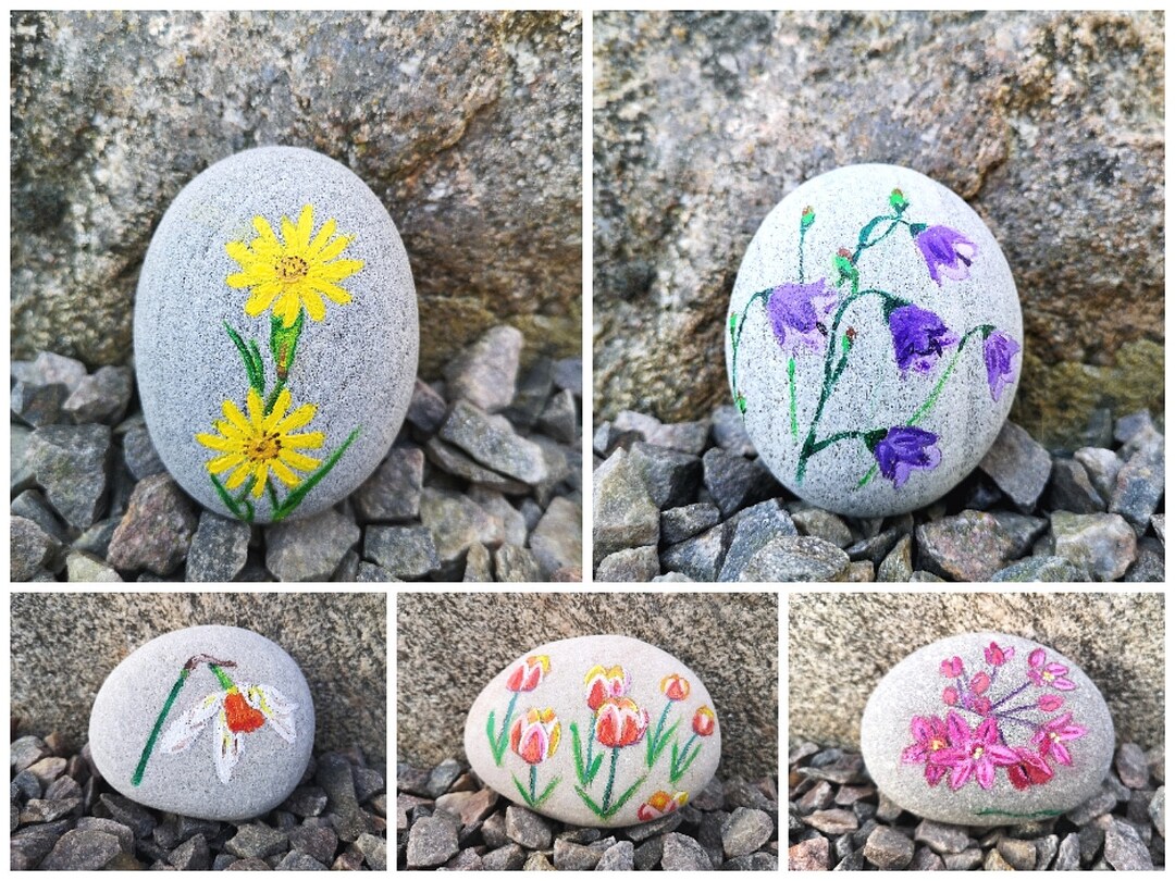 Painted Stones, Flower Painted Stones, Painted Rocks, Spring Painted ...