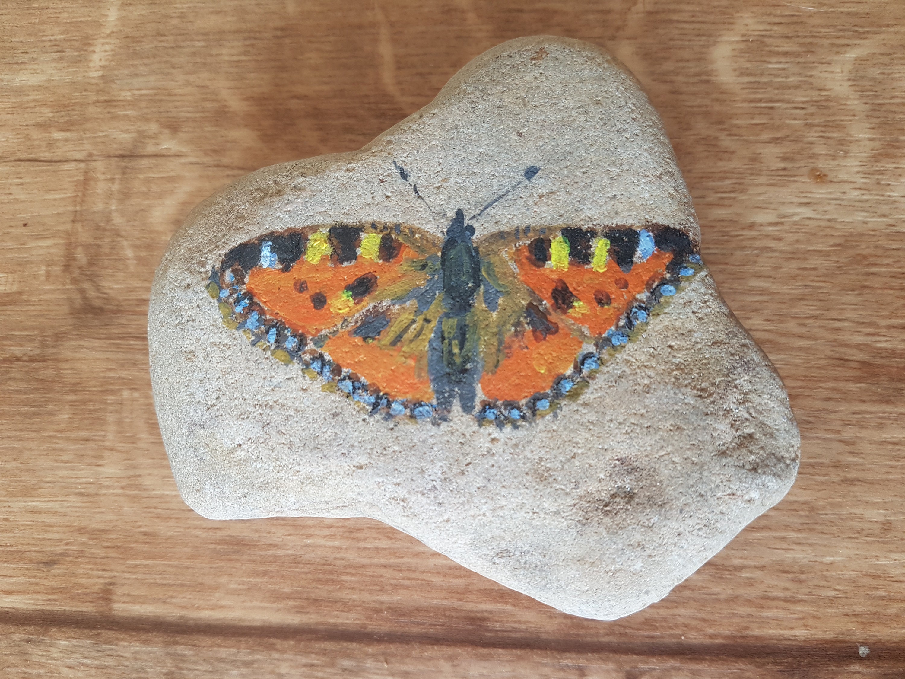 Painted Stones, Painted Rocks, Painted Insects, Painted Insect Stones ...