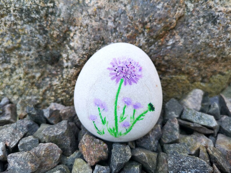 Painted Stones, Flower Painted Stones, Painted Rocks, Wild Flower ...