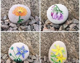 Painted Herb Rocks - Etsy