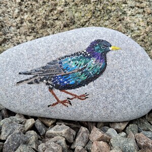 Painted Stones, Painted Bird Stones, Painted Rocks, Painted Garden Bird ...