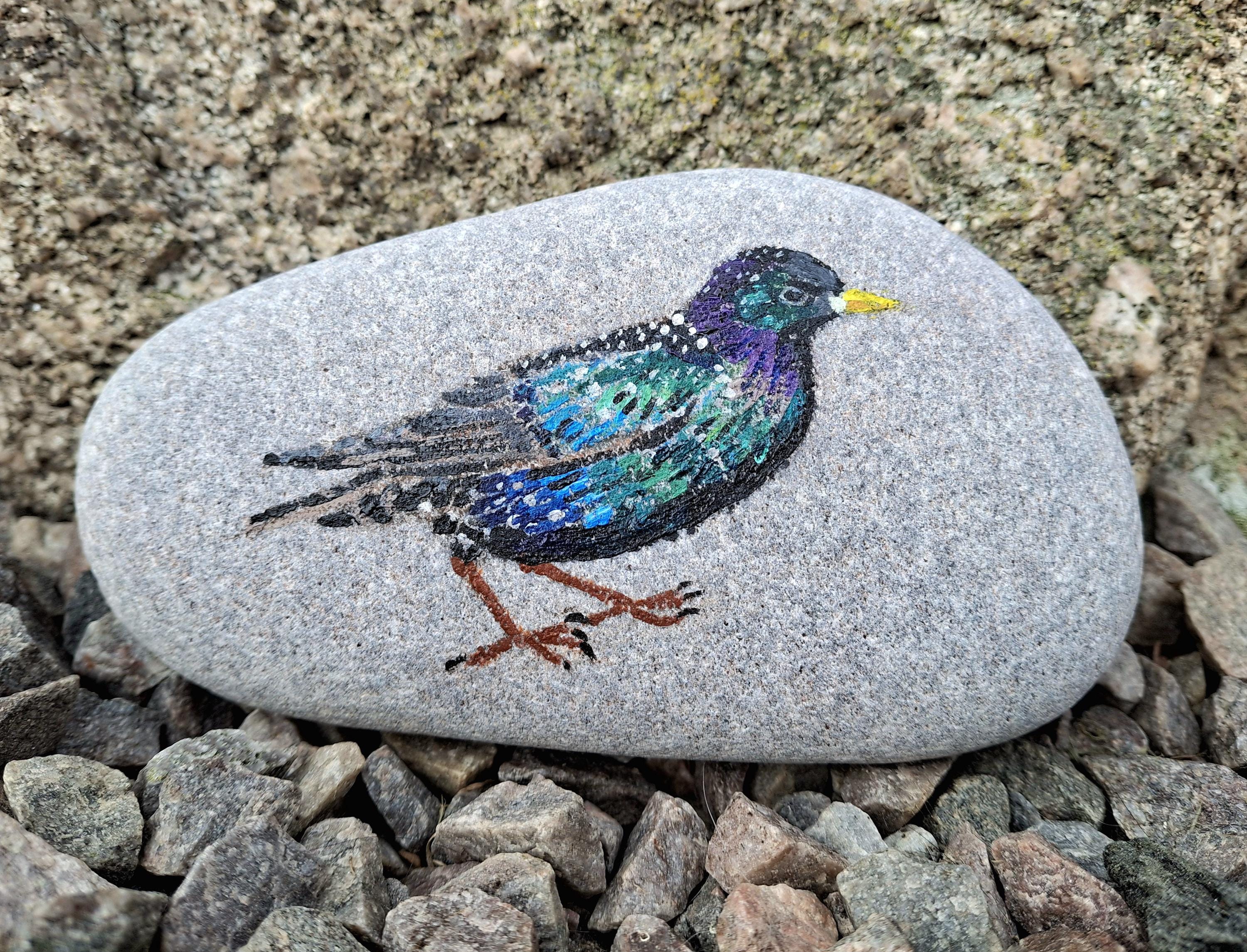 Painted Stones, Painted Bird Stones, Painted Rocks, Painted Garden Bird ...