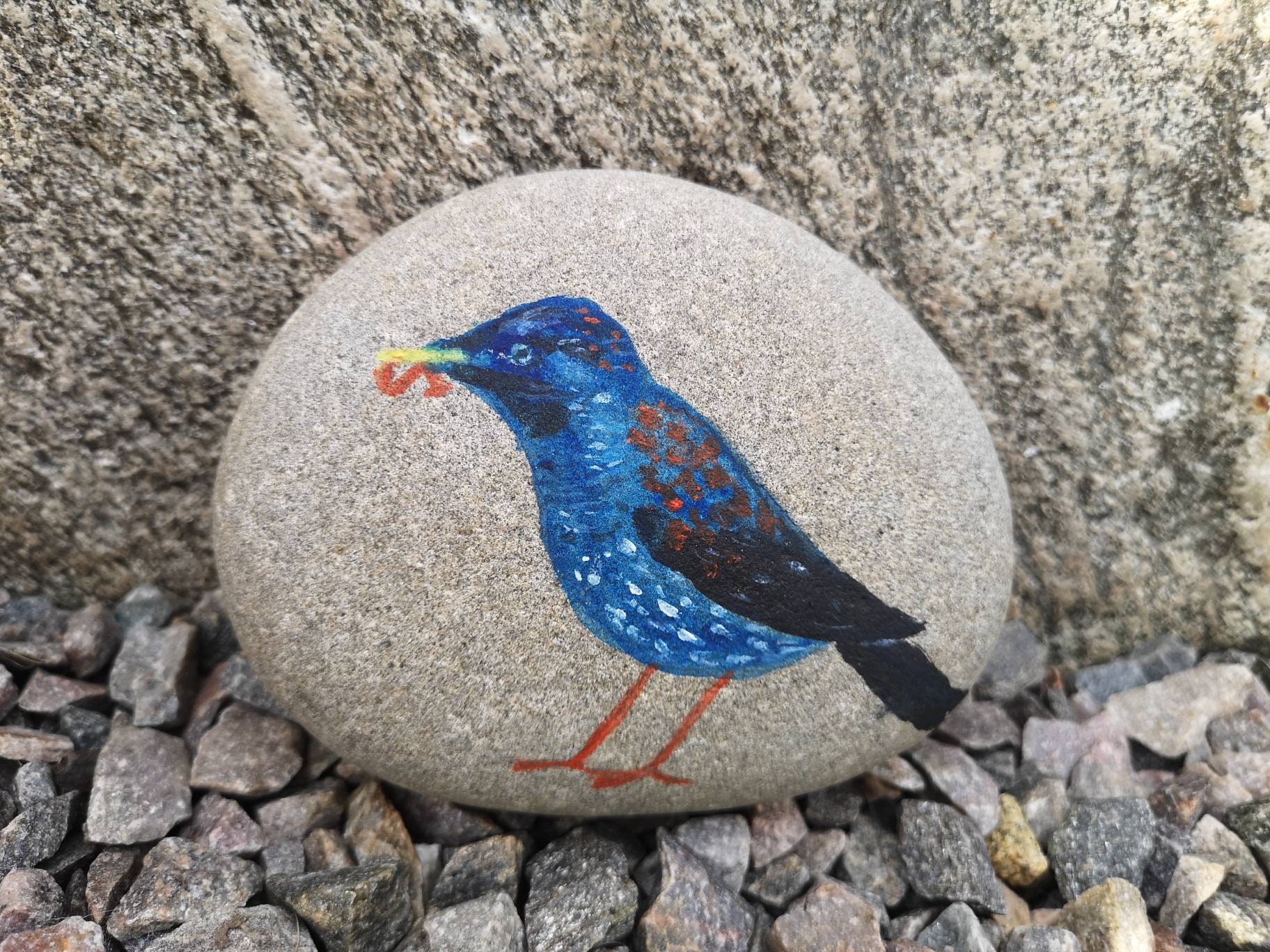 Painted Stones, Painted Rocks, Painted Bird Stones, Painted Bird Rocks ...
