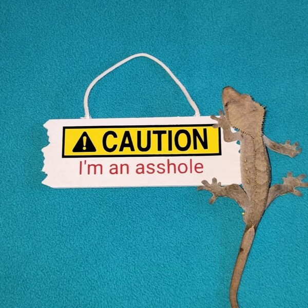 I'm an Asshole Sign - Etsy