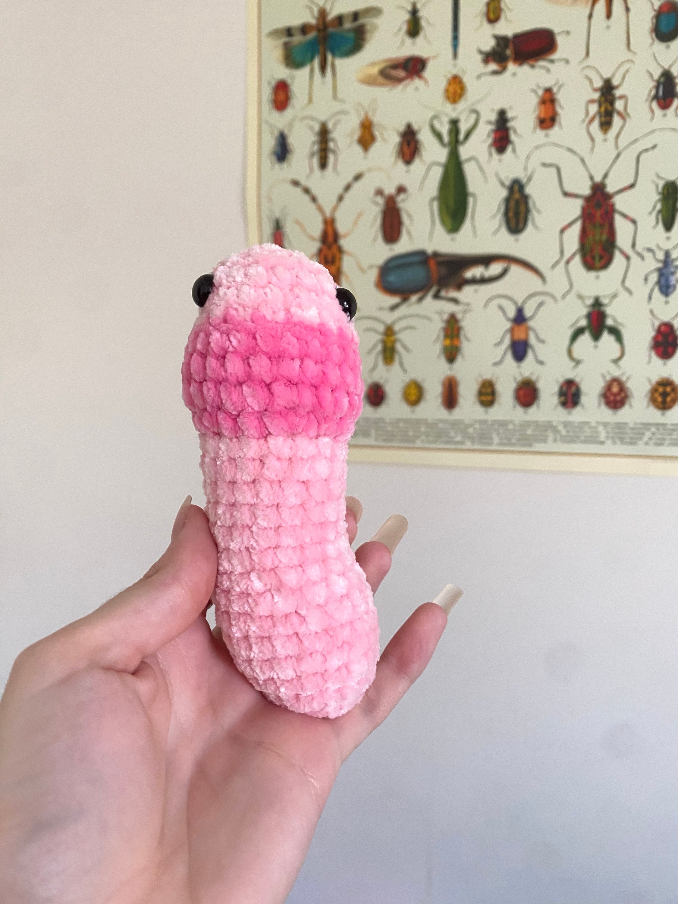 Worm Friend Plushie!! Crochet Plushie - Etsy