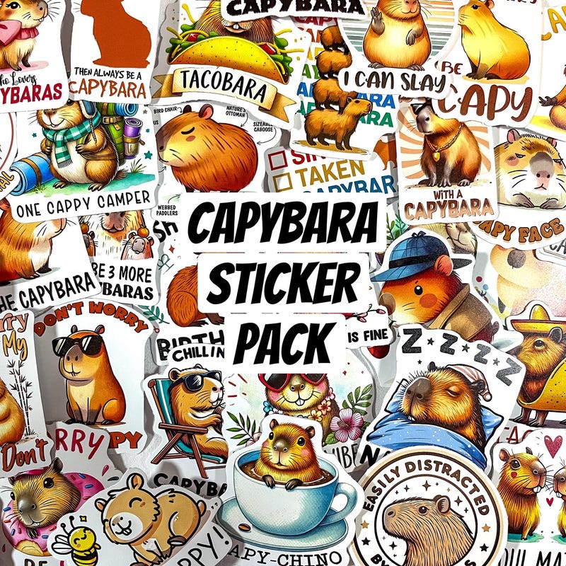 Capybara Stickers - Etsy