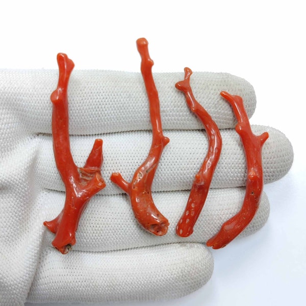 Red Coral Branches - Etsy