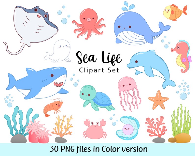 Sea Life Clipart Set Doodle Hand-drawn Clipart Color - Etsy