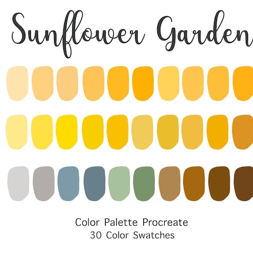 Procreate Color Palette Sunflower Garden Color Swatches - Etsy