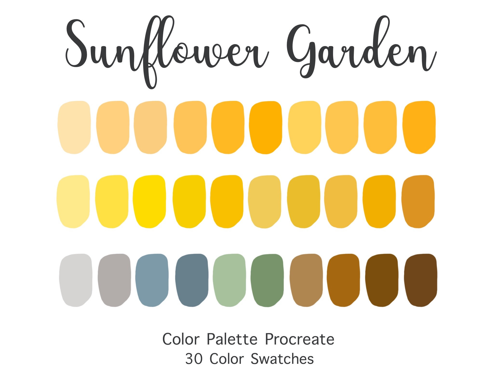 Procreate Color Palette Sunflower Garden Color Swatches Instant ...