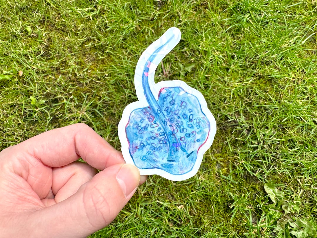 Manta Ray Sticker Holographic Ray Sticker Under the Sea Creature ...