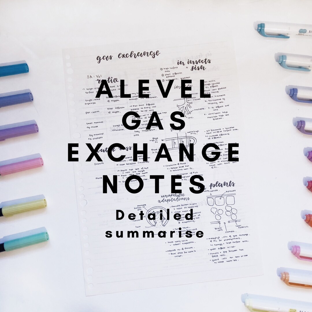 A Level Biology | Gas Exchange Notes - Etsy