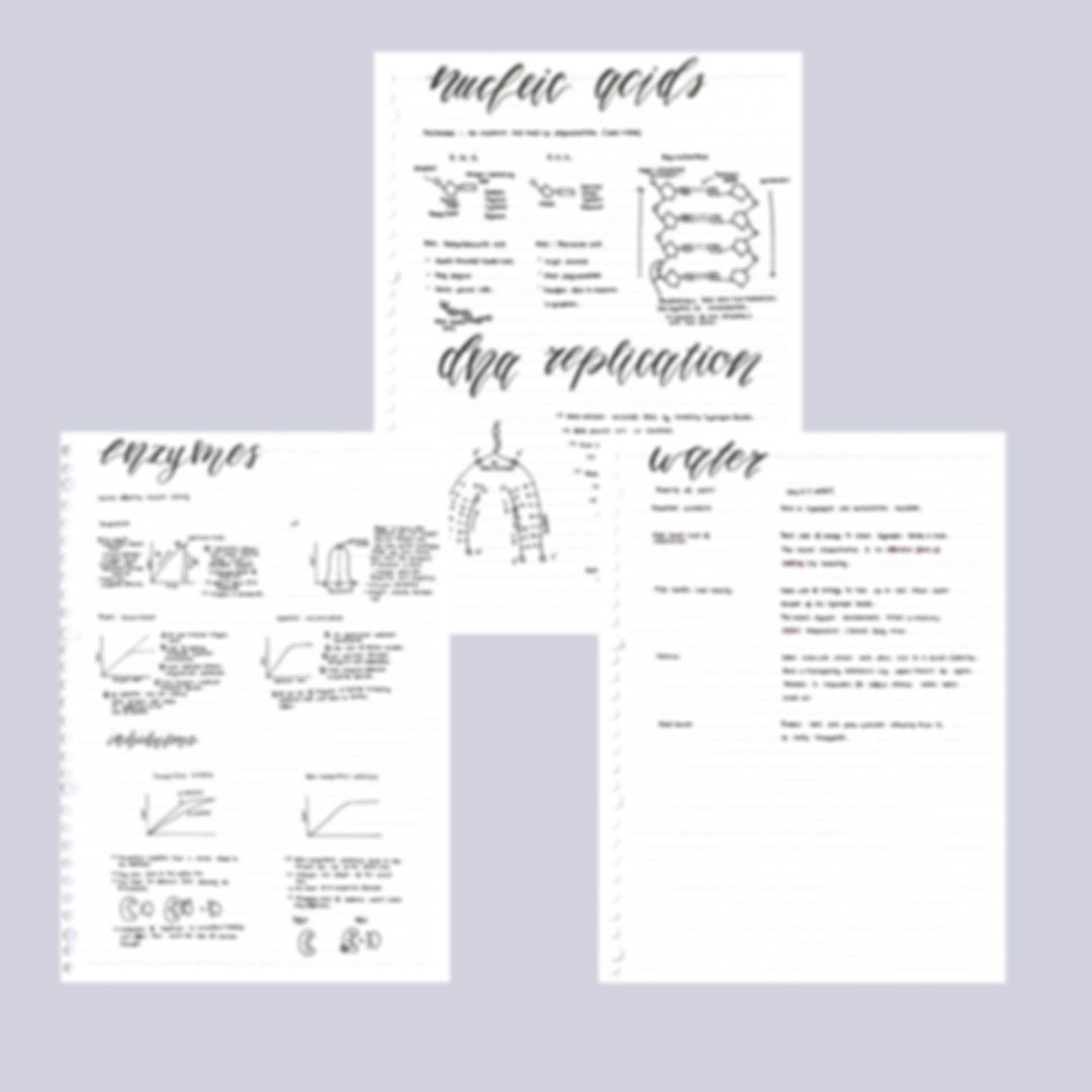 A Level Biology Enzymes, Nucleic Acid & Water Notes Bundle - Etsy
