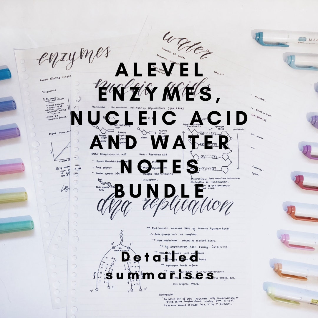 A Level Biology | Enzymes, Nucleic Acid & Water Notes Bundle - Etsy