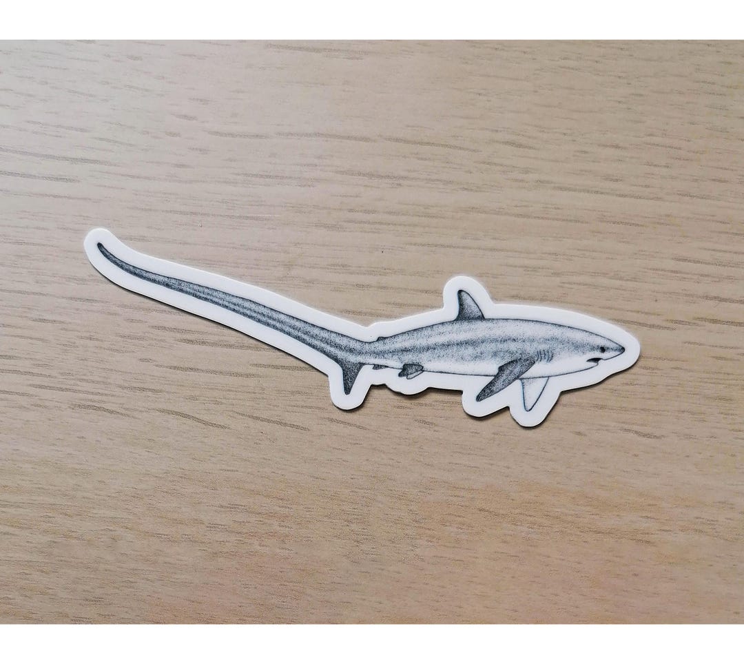 THRESHER SHARK STICKER - Sharks Biodiversity Sticker - Water and Uv ...